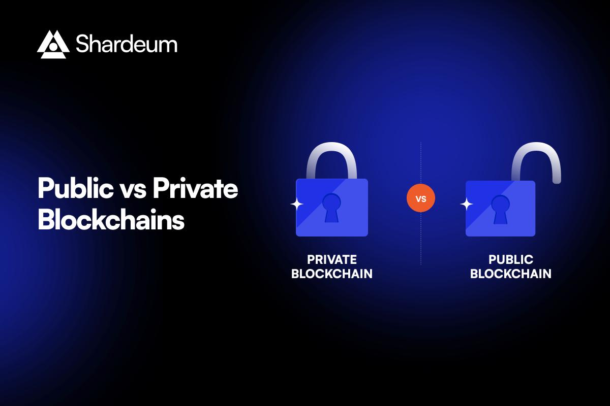 Difference Between Public vs Private Blockchain | Shardeum