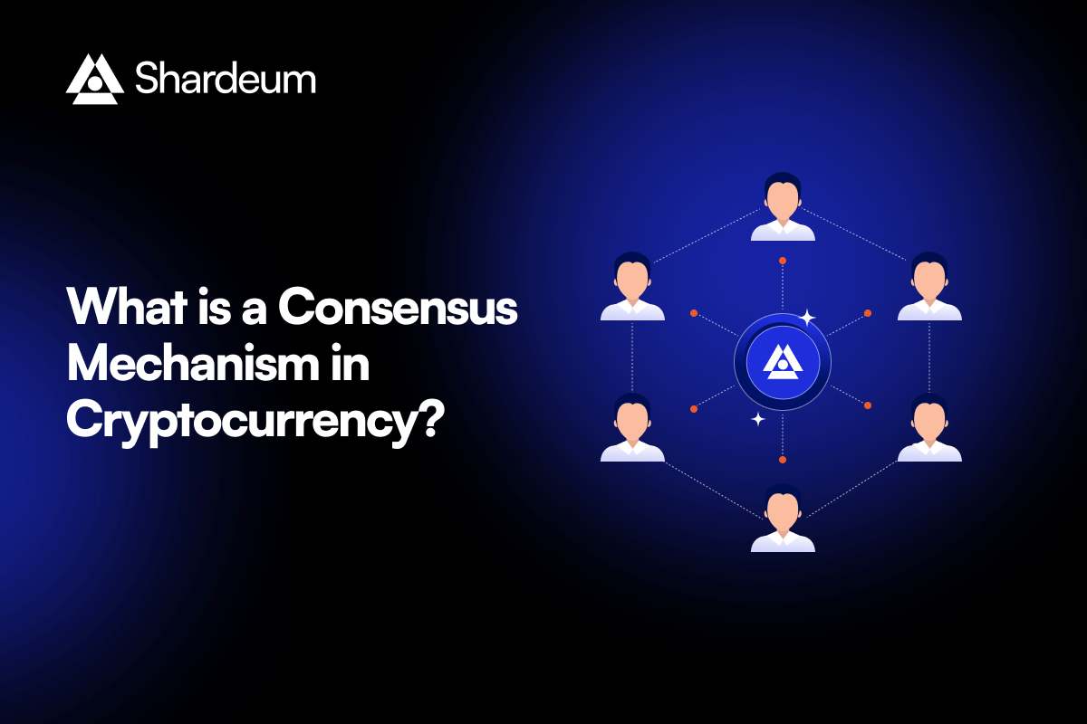 What is Consensus Mechanism in Cryptocurrency | Shardeum