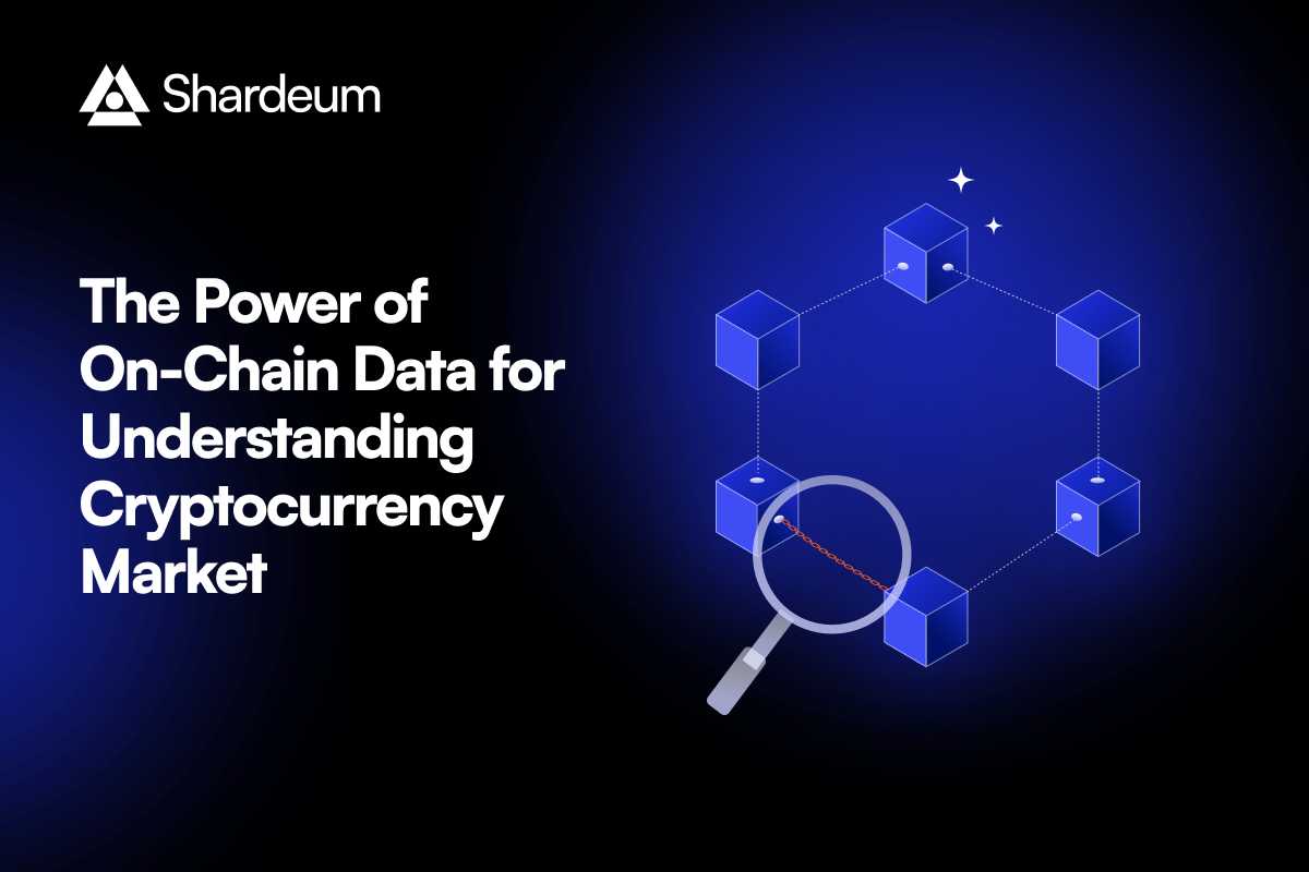 On-Chain Data Analysis Tools and How Do You Use it? | Shardeum