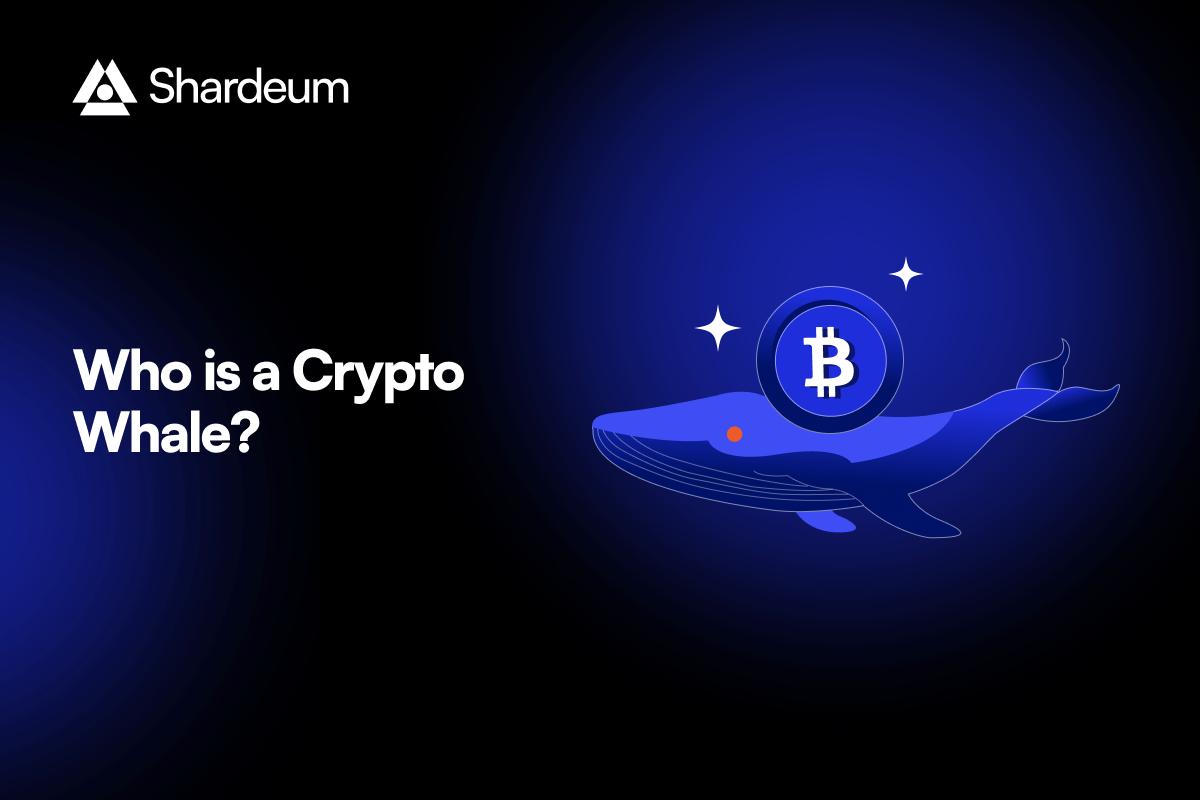 What is a Crypto Whale and Its Importance | Shardeum