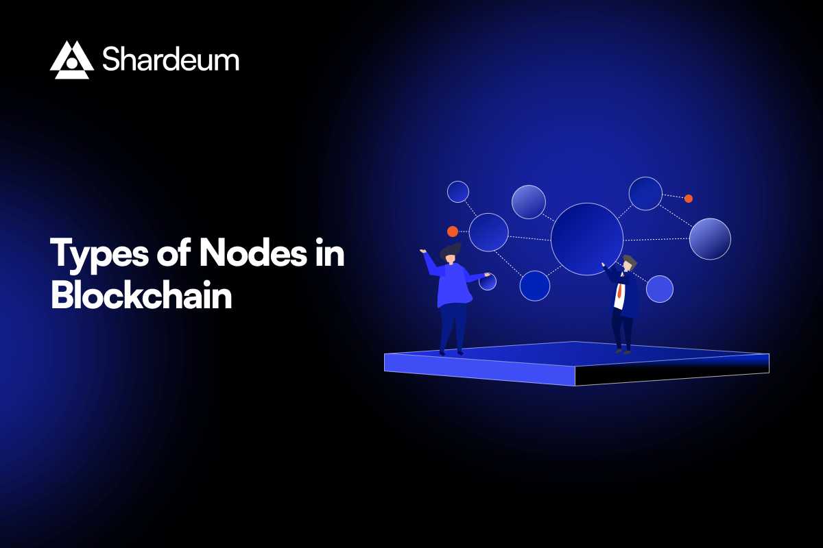 Top 10 Different Types of Blockchain Nodes: A Guide | Shardeum