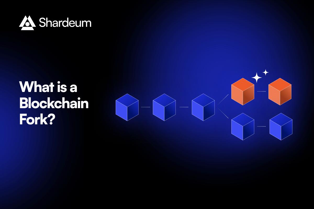 What is a Blockchain Fork & Why is it Important? | Shardeum