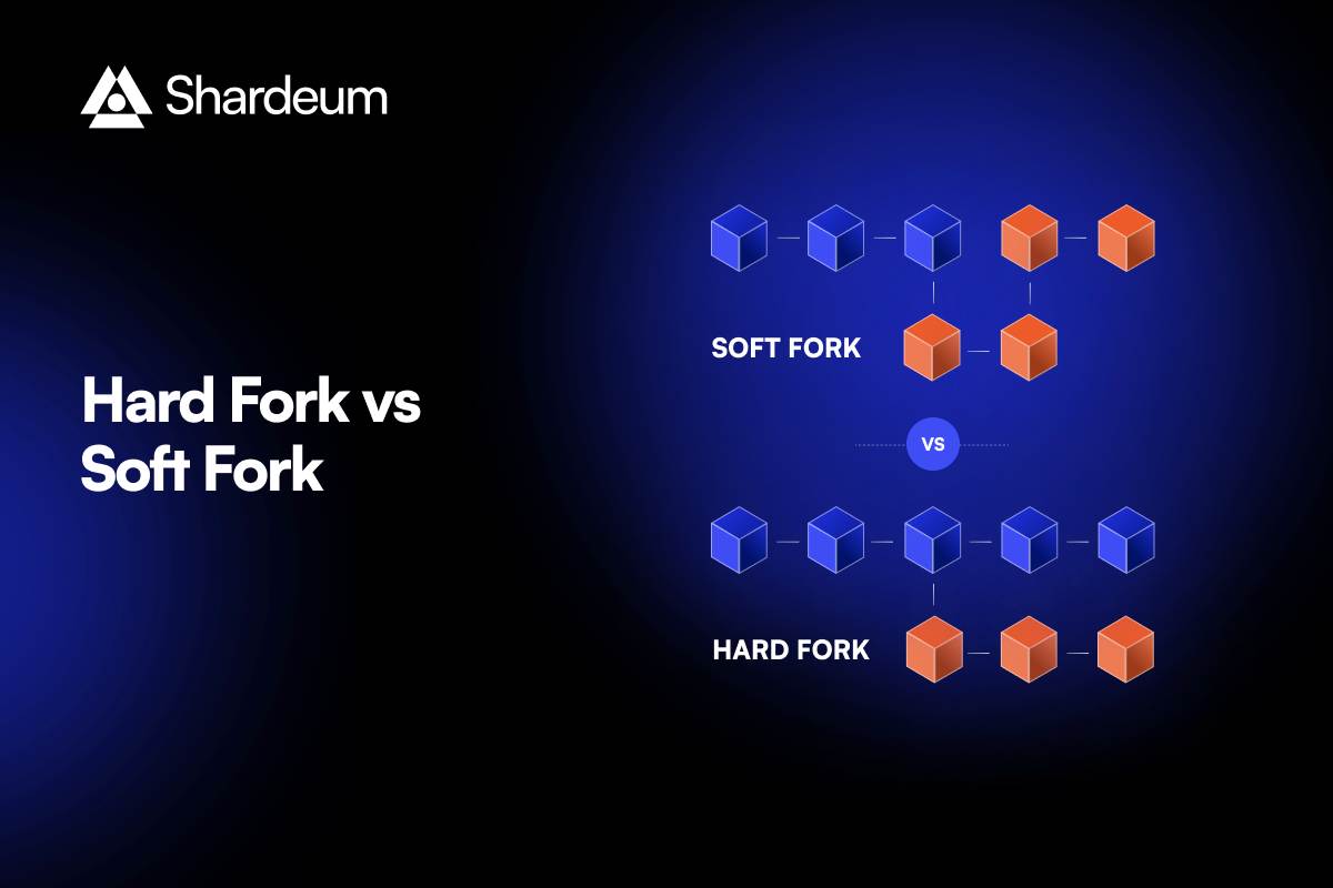 Soft Fork vs Hard Fork - A Comparative Guide | Shardeum