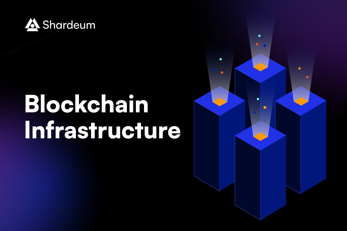 Blockchain Infrastructure - Types and Key Elements | Shardeum