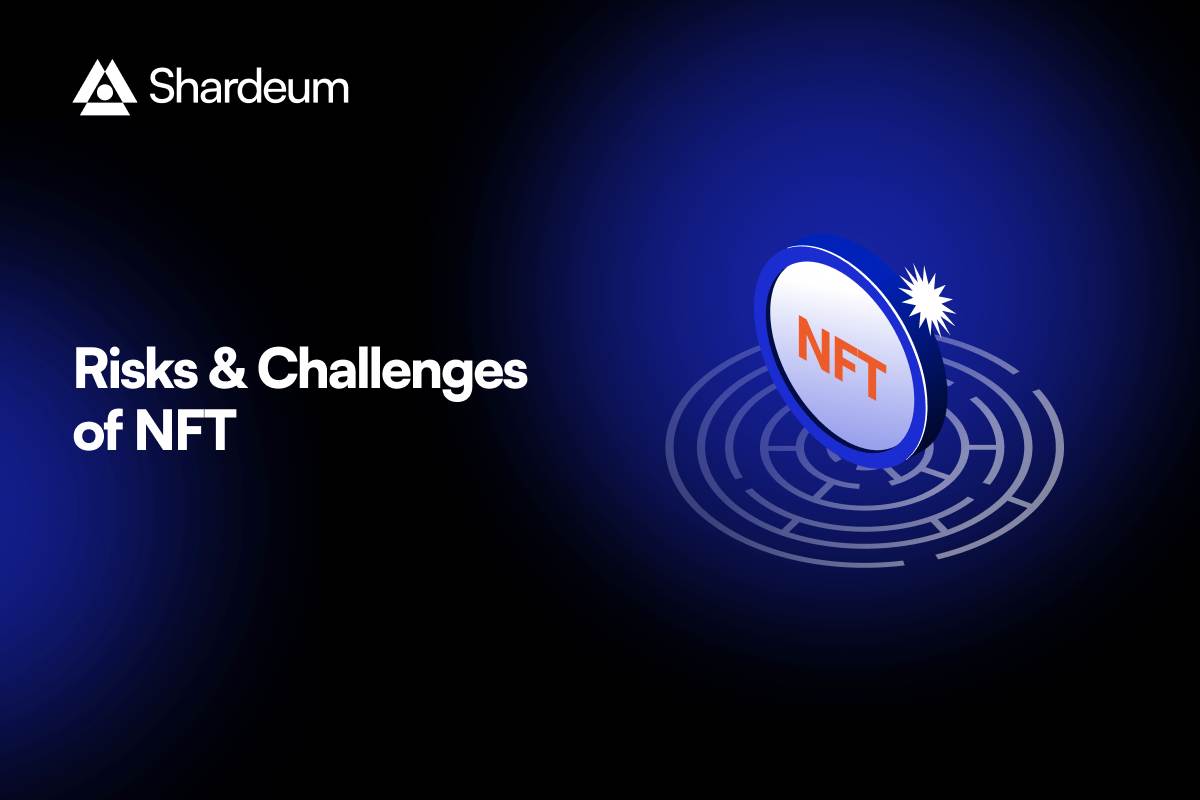 Risks and Challenges with Non-Fungible Tokens (NFT) | Shardeum