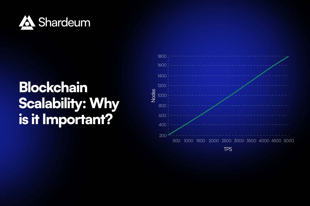 What is Blockchain Scalability? | Shardeum