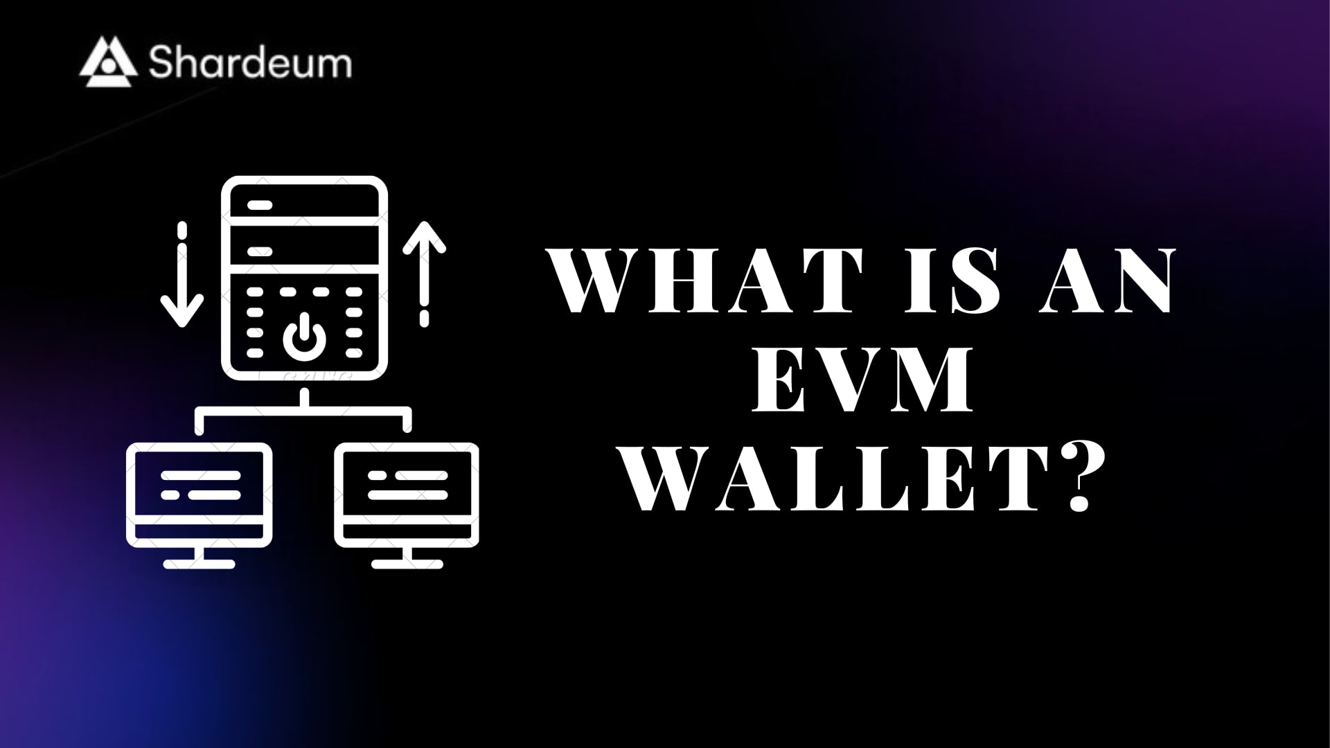 What is EVM Wallet? A Detailed Guide | Shardeum