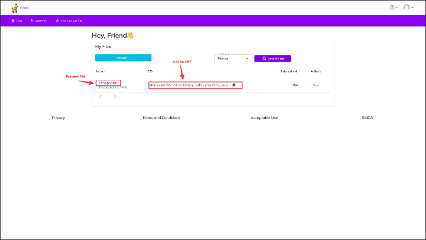 Rewards of Combining Pinatas and IPFS for Secure and Scalable Data Storage