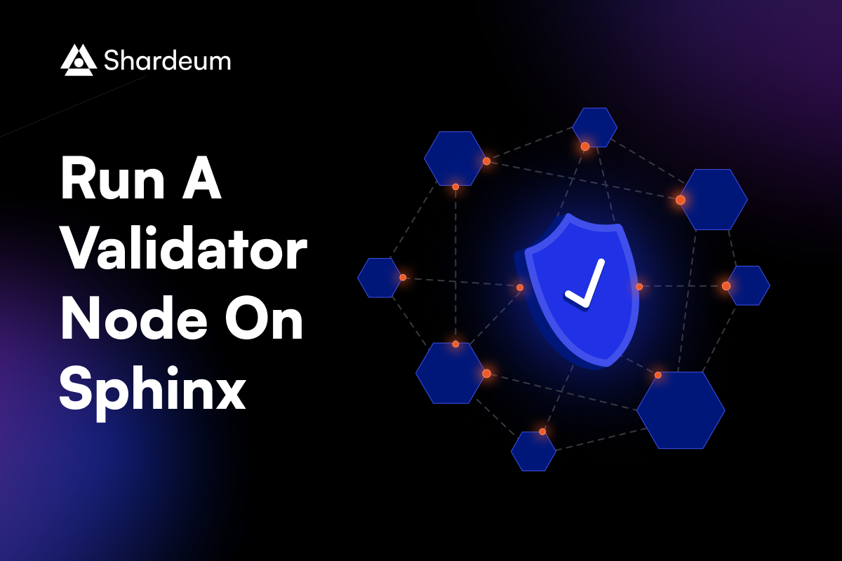 How To Run A Validator Node On Shardeum Sphinx? | Shardeum