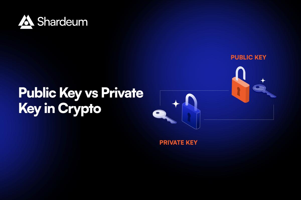 Difference Between Public Key Vs Private Key in Blockchain or Crypto ...
