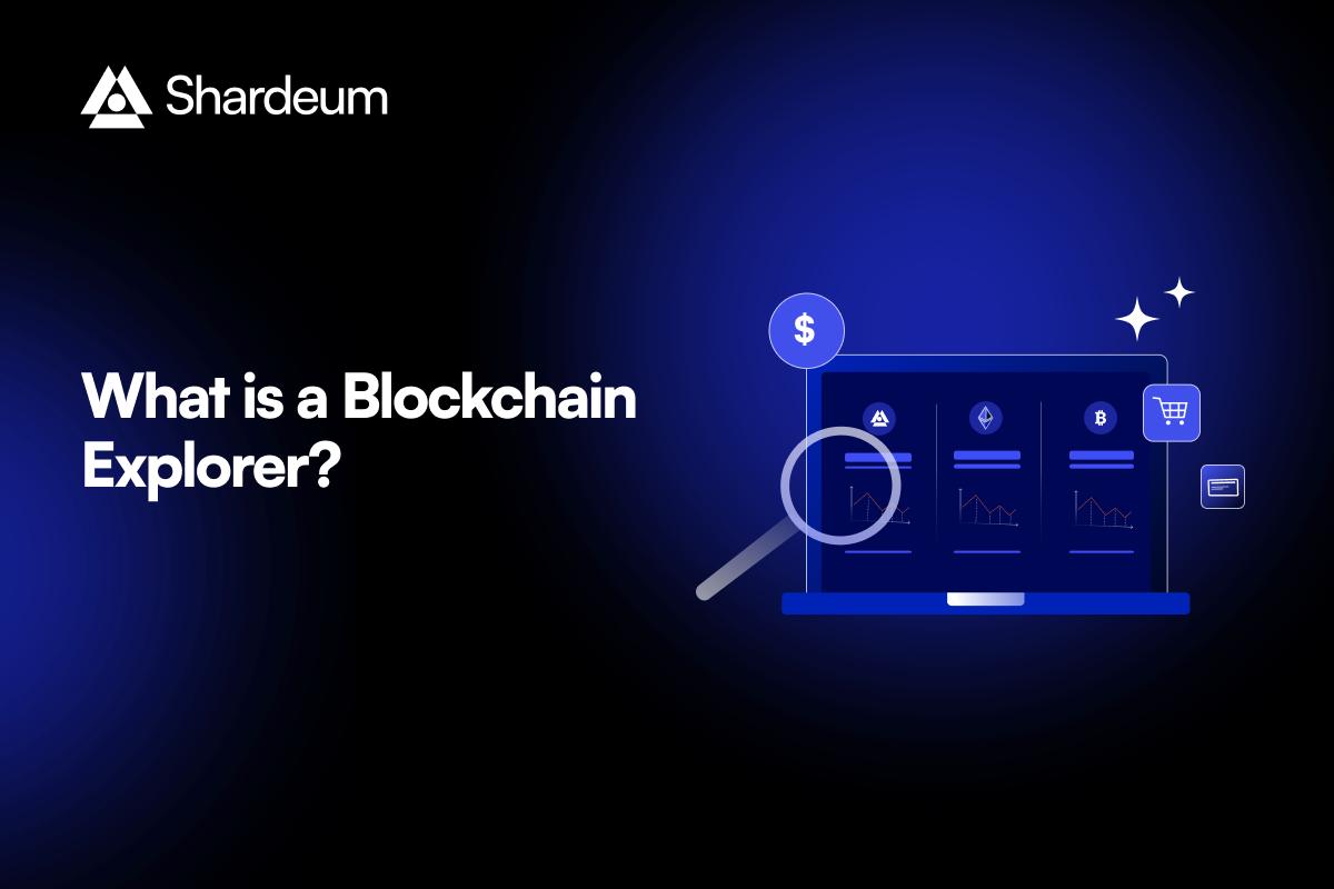 Blockchain Explorer - Working and Usage | Shardeum