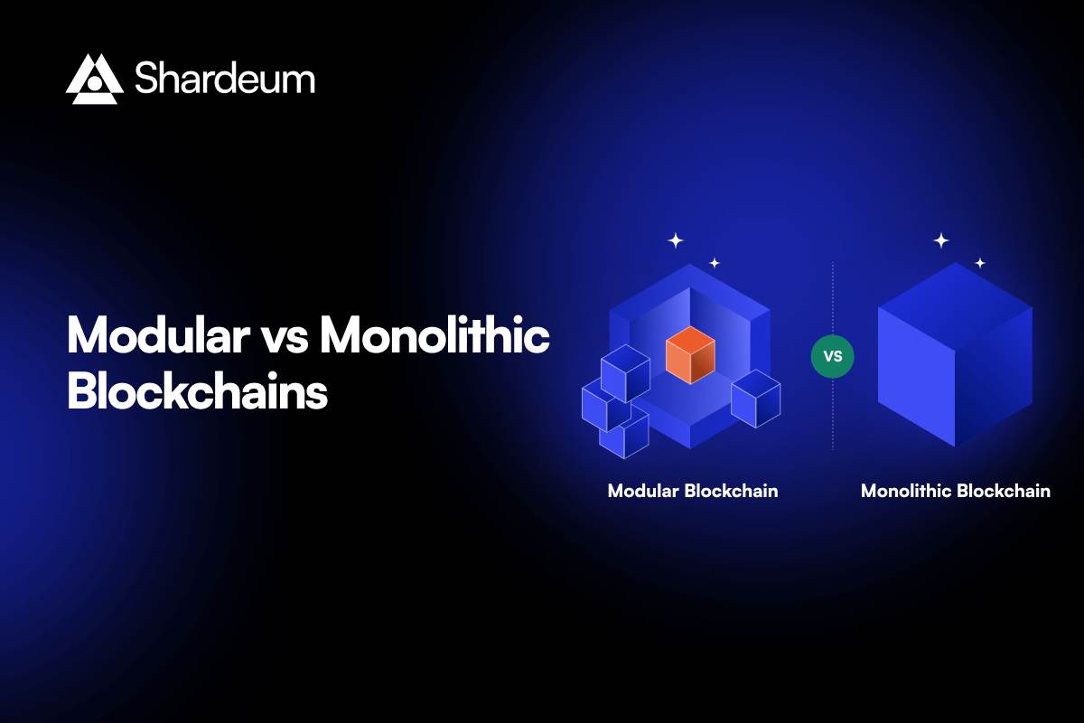 Modular Vs Monolithic Blockchains Whats The Difference Shardeum