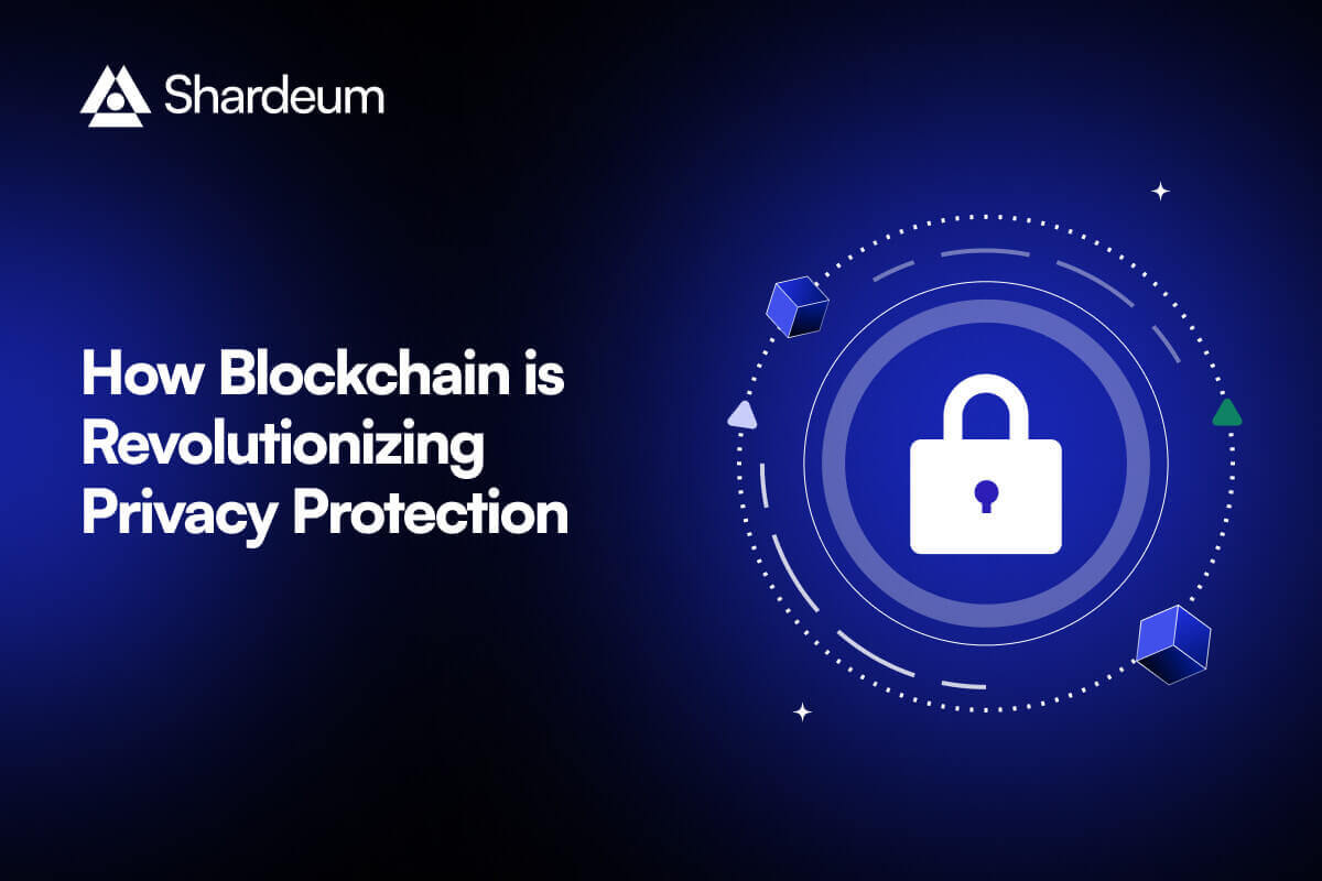 What is Privacy Protection in Blockchain | Shardeum