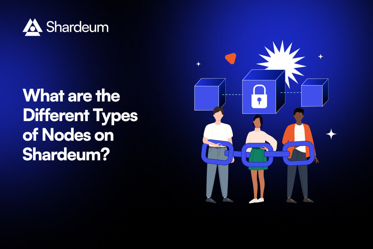 Different Types of Nodes on Shardeum - A Deep Dive